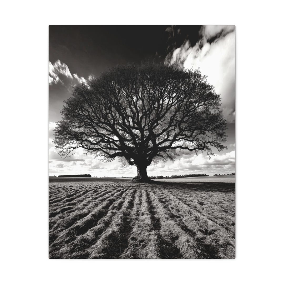 Farm Family Tree Black and White Photography Living Room Wall Art Home ...