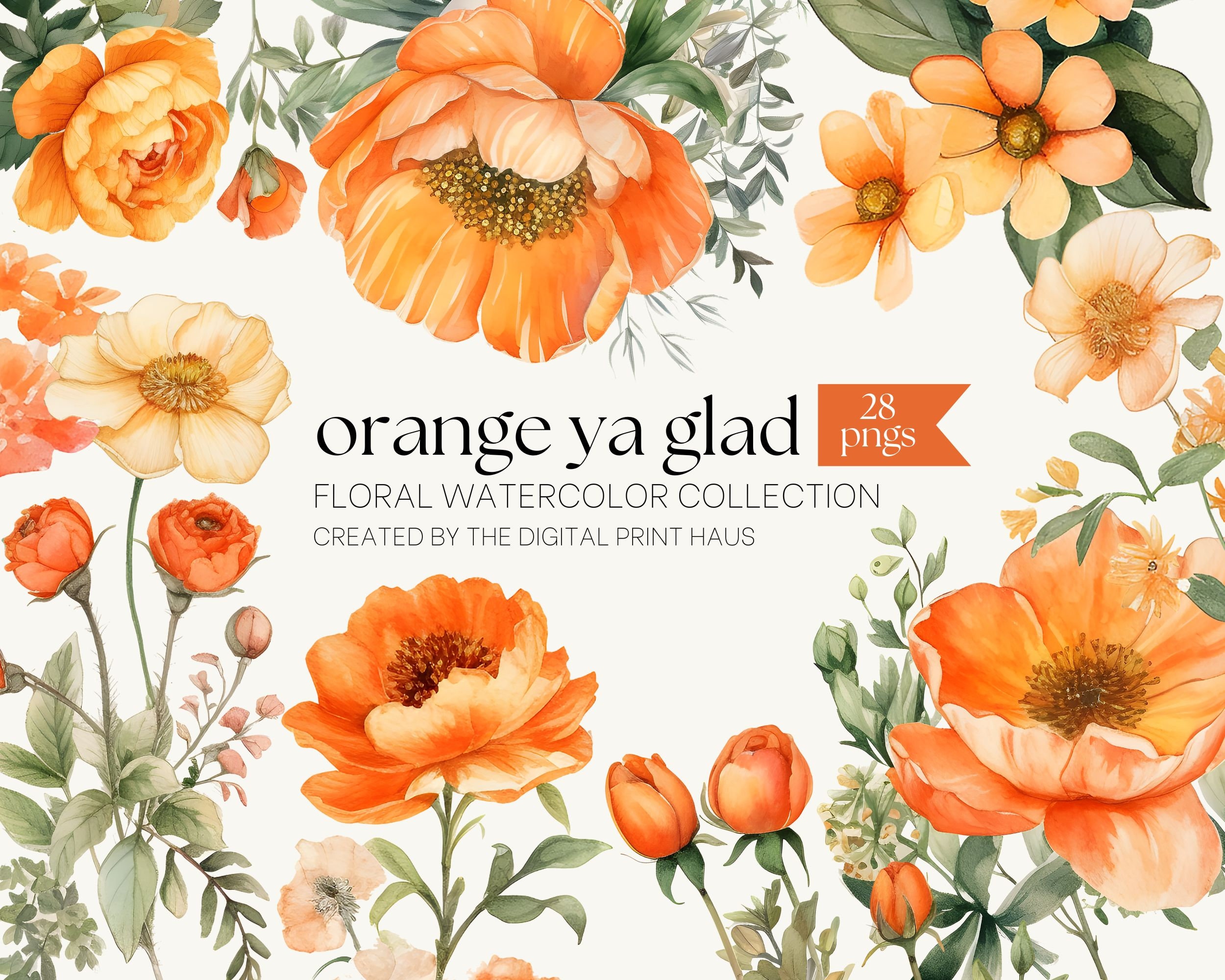 28 Orange Floral Clipart Watercolor Roses Watercolor - Etsy