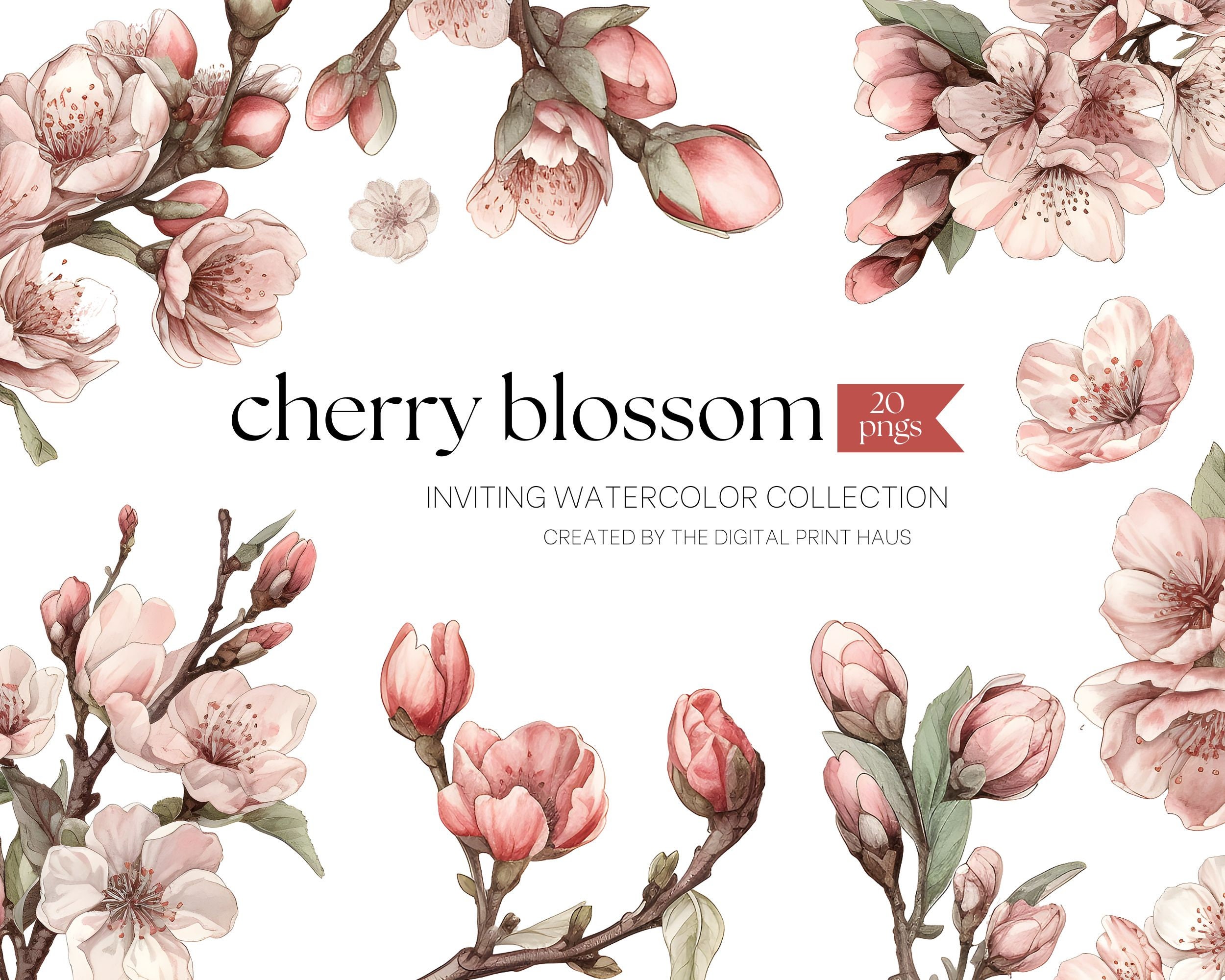 20 Cherry Blossom Clipart - Watercolor Pink Cherry Blossom, Digital ...
