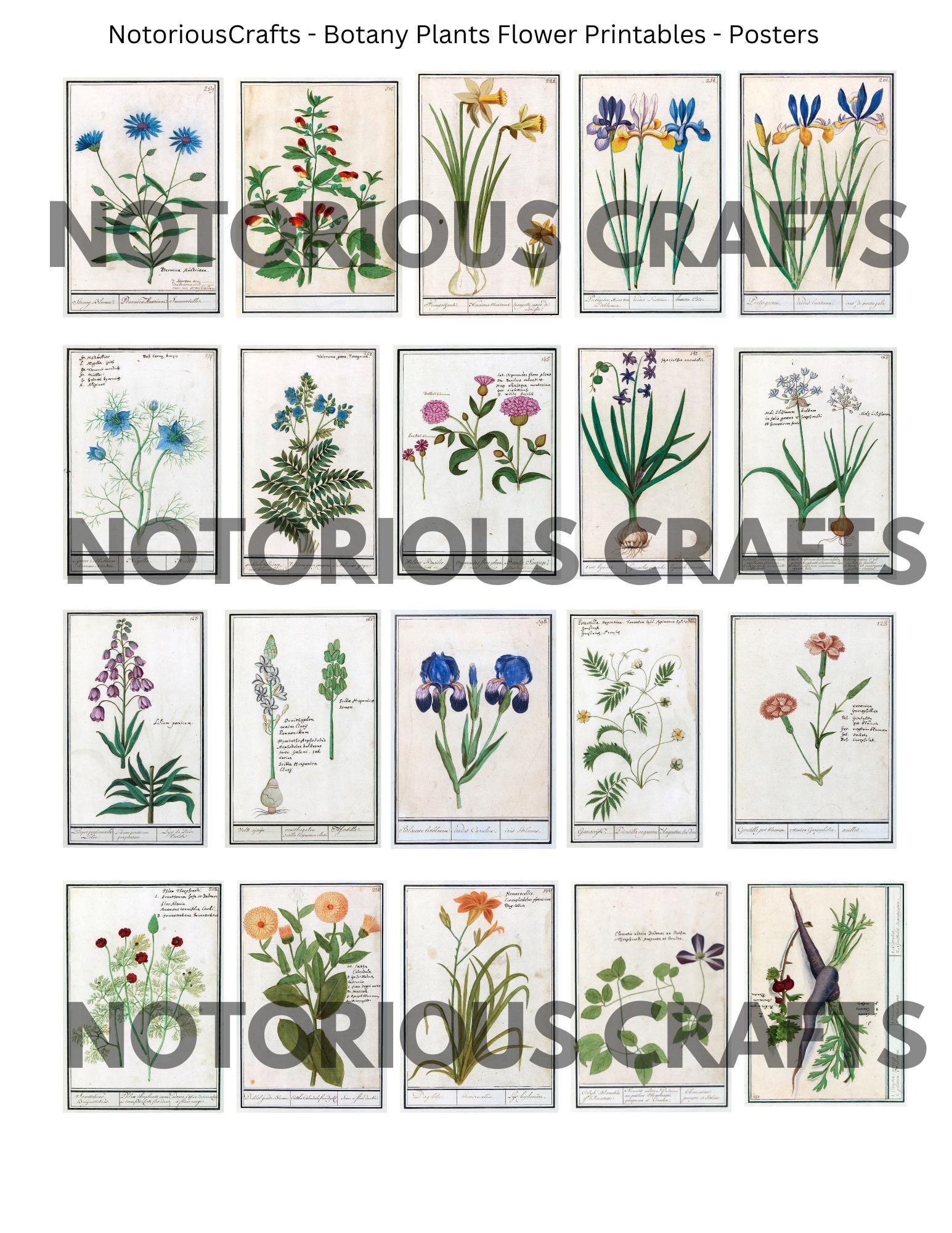 130+ Vintage Botany Plant Flower Poster Dollhouse Printables - 7 Pages ...
