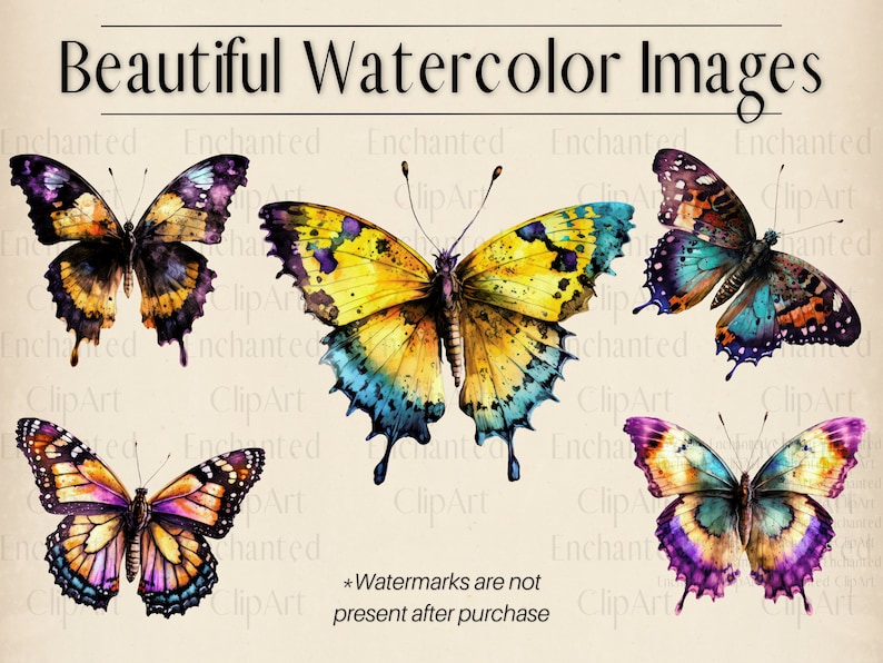 Watercolor Butterfly Clipart Bundle, Bug Clipart, Watercolor Clipart ...