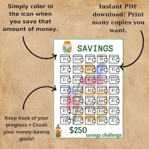 250 USD Savings Challenge, A6 Sized Trackers, Budget Planner, Printable ...