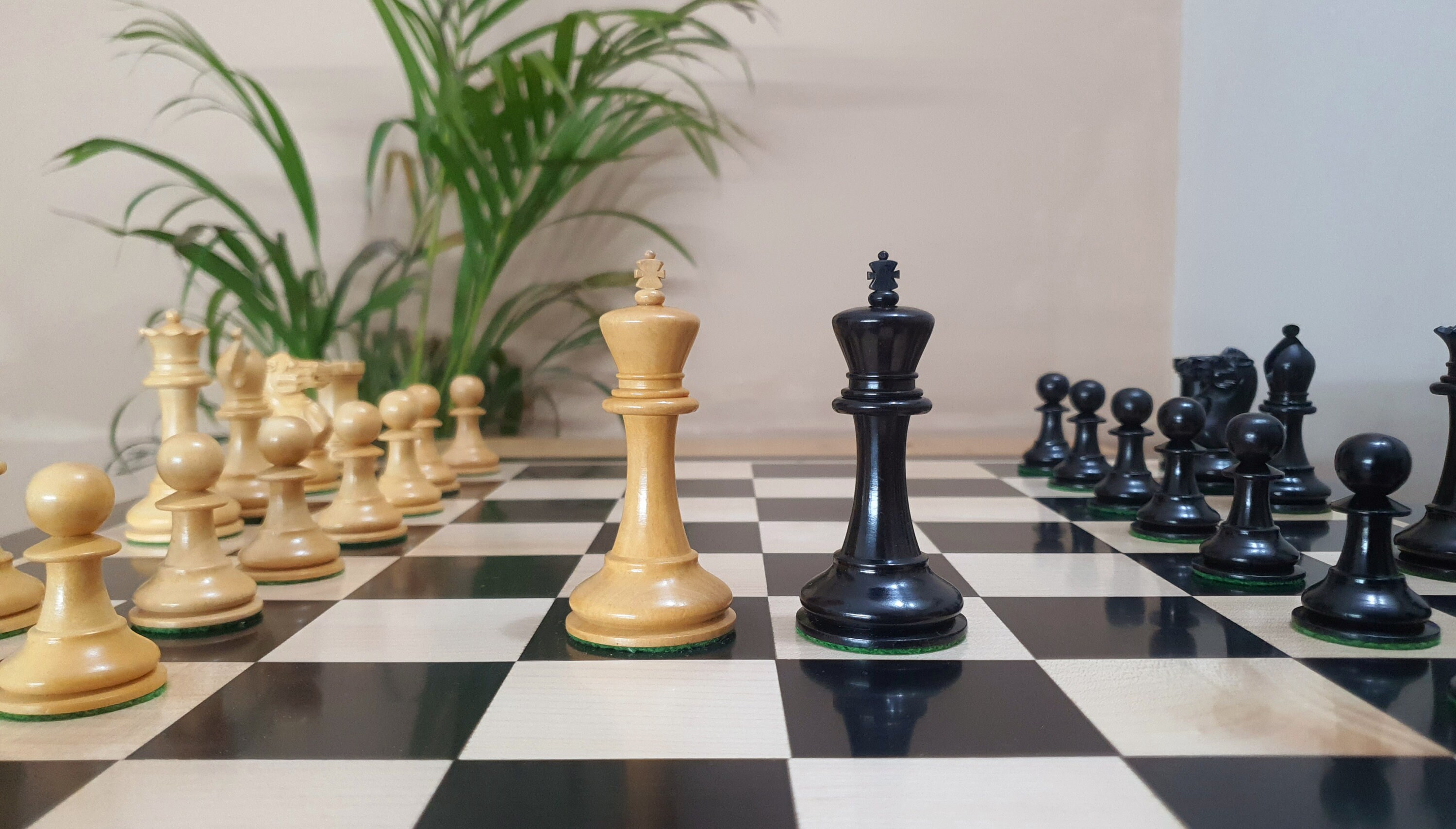 The Staunton Series jaques Pattern Chess Pieces in Ebony & Box Wood 3.4 ...