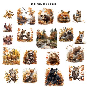 Digital Clipart "autumn Forest Friends", 50 Fall Woodland Animal Png's ...