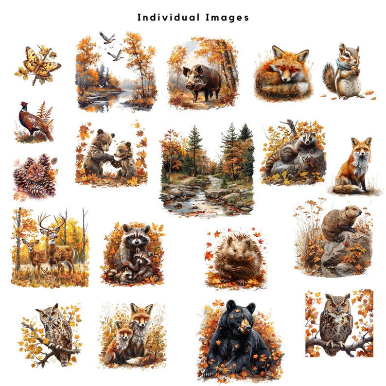 Autumn Forest Animals Clipart, Fall PNG Graphics (digital Download) - Etsy