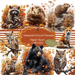 Digital Clipart "autumn Forest Friends", 50 Fall Woodland Animal Png's ...