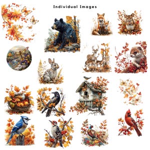 Digital Clipart "autumn Forest Friends", 50 Fall Woodland Animal Png's ...