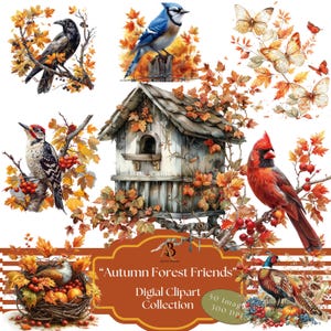 Digital Clipart "autumn Forest Friends", 50 Fall Woodland Animal Png's ...