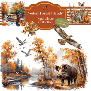 Digital Clipart "autumn Forest Friends", 50 Fall Woodland Animal Png's ...