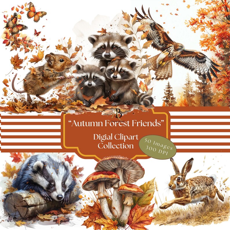 Digital Clipart "autumn Forest Friends", 50 Fall Woodland Animal Png's ...