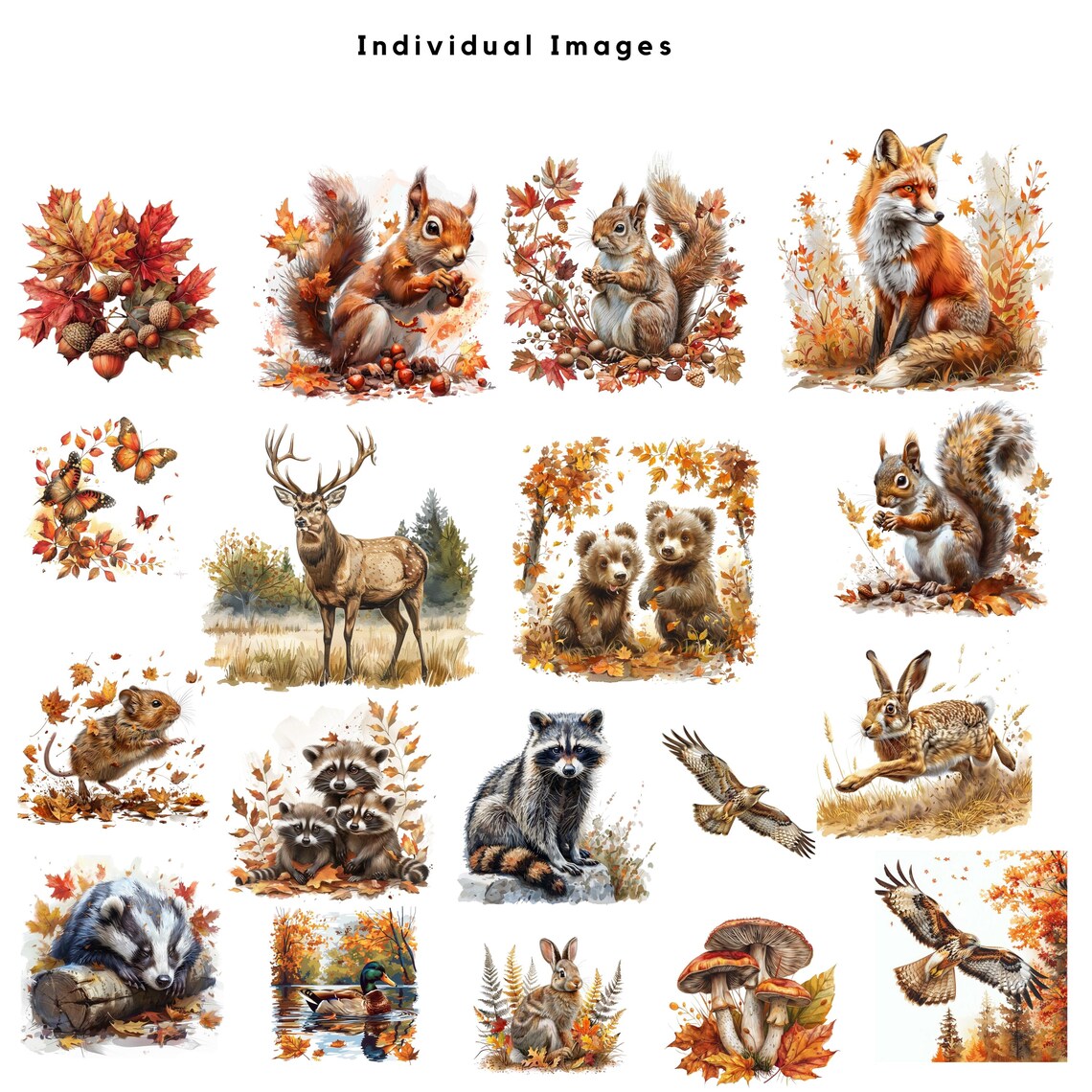 Digital Clipart "autumn Forest Friends", 50 Fall Woodland Animal Png's ...