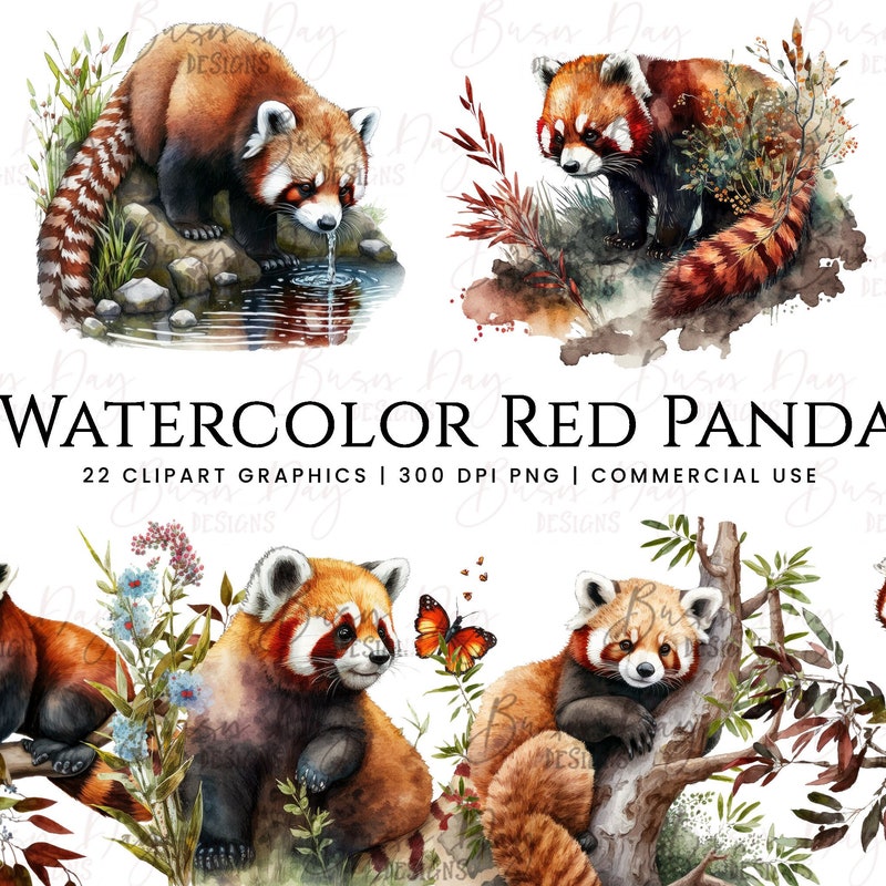 Red Panda Watercolor - Etsy