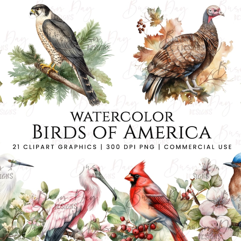 Florida Bird Art - Etsy