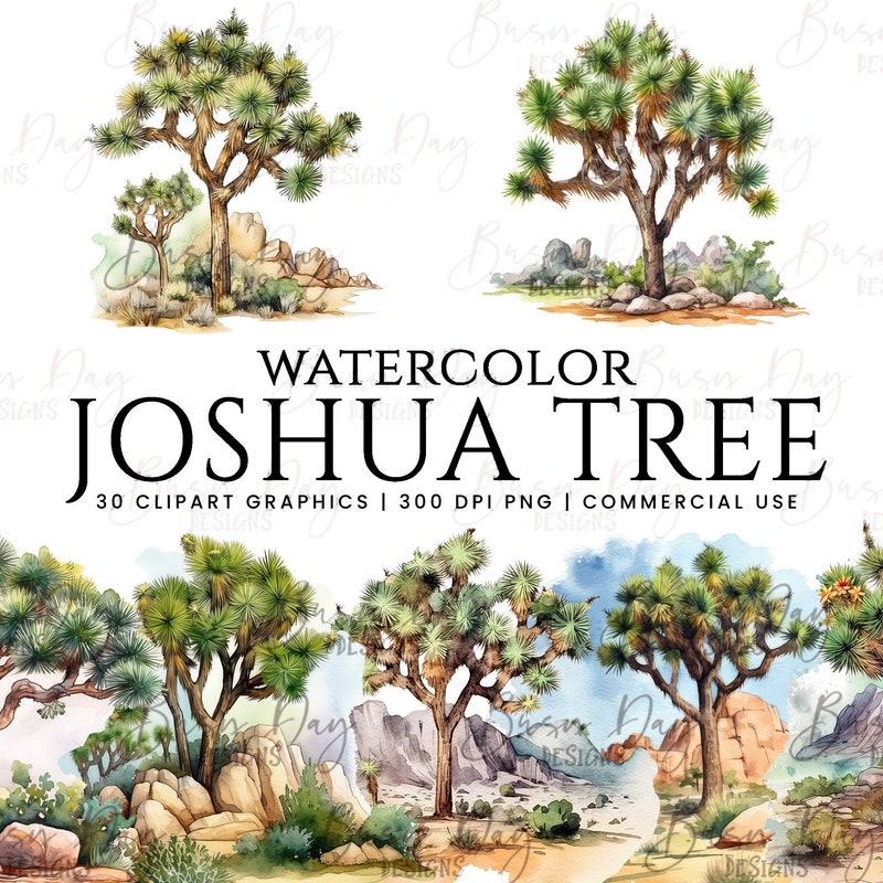 Nature Joshua Tree Cards - Etsy