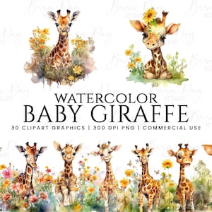 Watercolor Baby Giraffe Clipart Bundle (digital Download) - Etsy