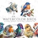 Watercolor Birds Clipart Bundle: 20 PNG Graphics (digital Download) - Etsy