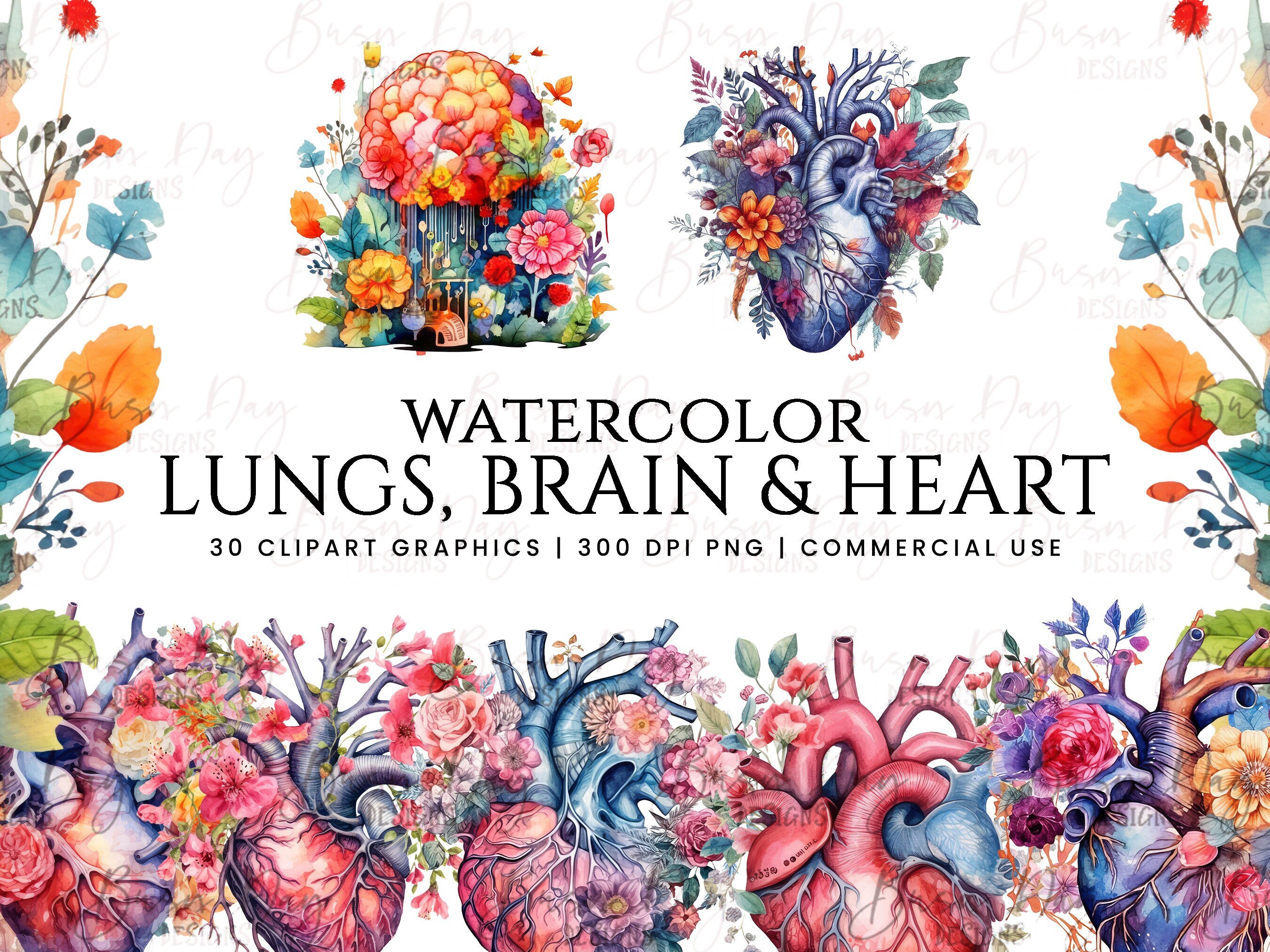 Lungs And Heart Clipart