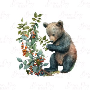 Watercolor Baby Bear Clipart Watercolor Clipart Digital - Etsy