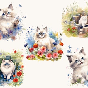 29 Watercolor Ragdoll Cats Clipart Bundle Sublimation Designs, Instant ...