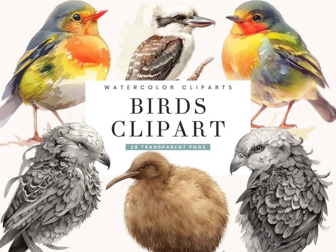 28 Watercolor Birds Clipart Bundle Sublimation Designs Digital Download ...
