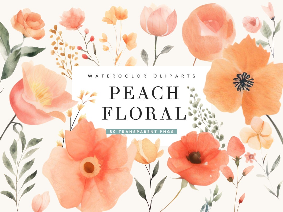 Watercolor Peach Flowers Clipart Bundle: 80 PNG Graphics (digital ...