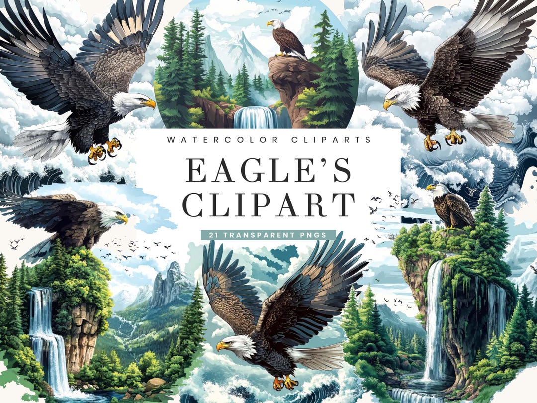 Watercolor Eagle Clipart Bundle: 21 PNG Designs (digital Download) - Etsy