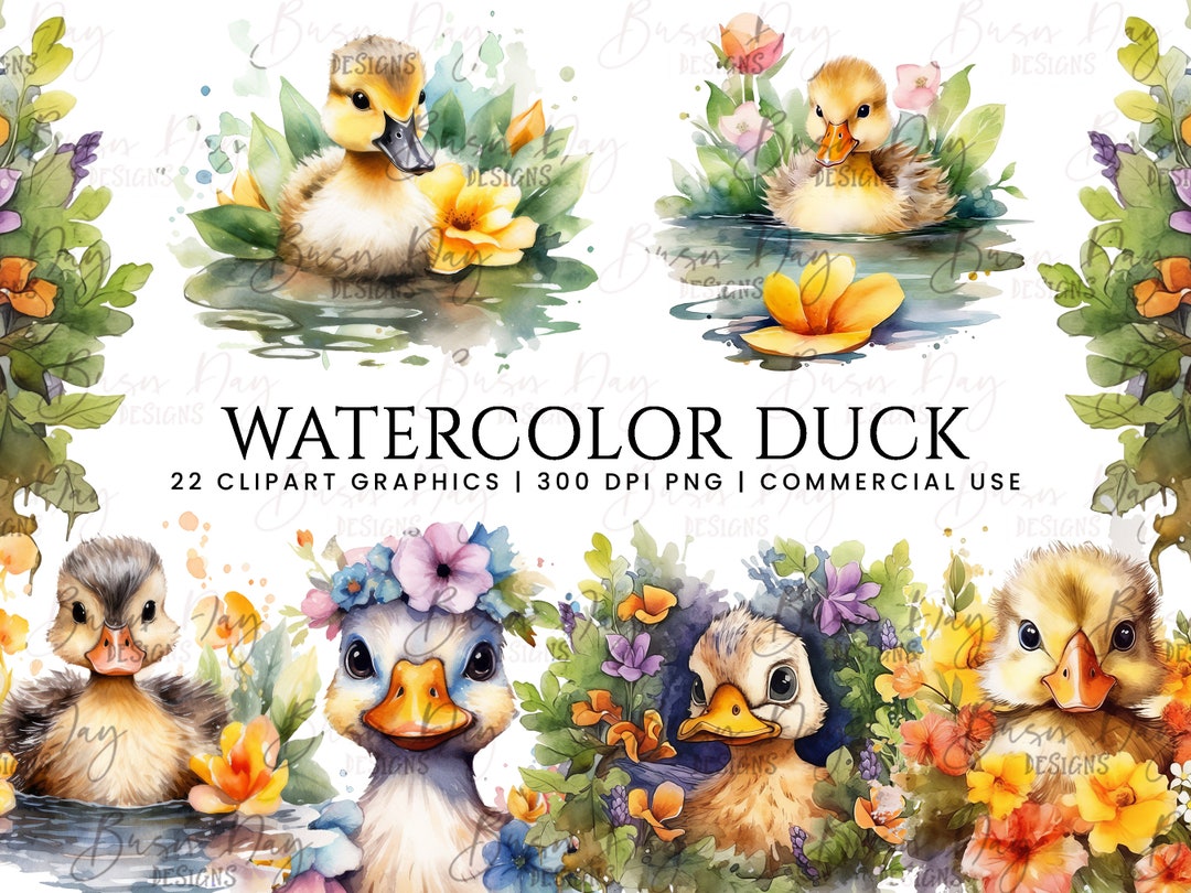 Watercolor Duck Clipart Bundle: 22 PNG Graphics (digital Download) - Etsy