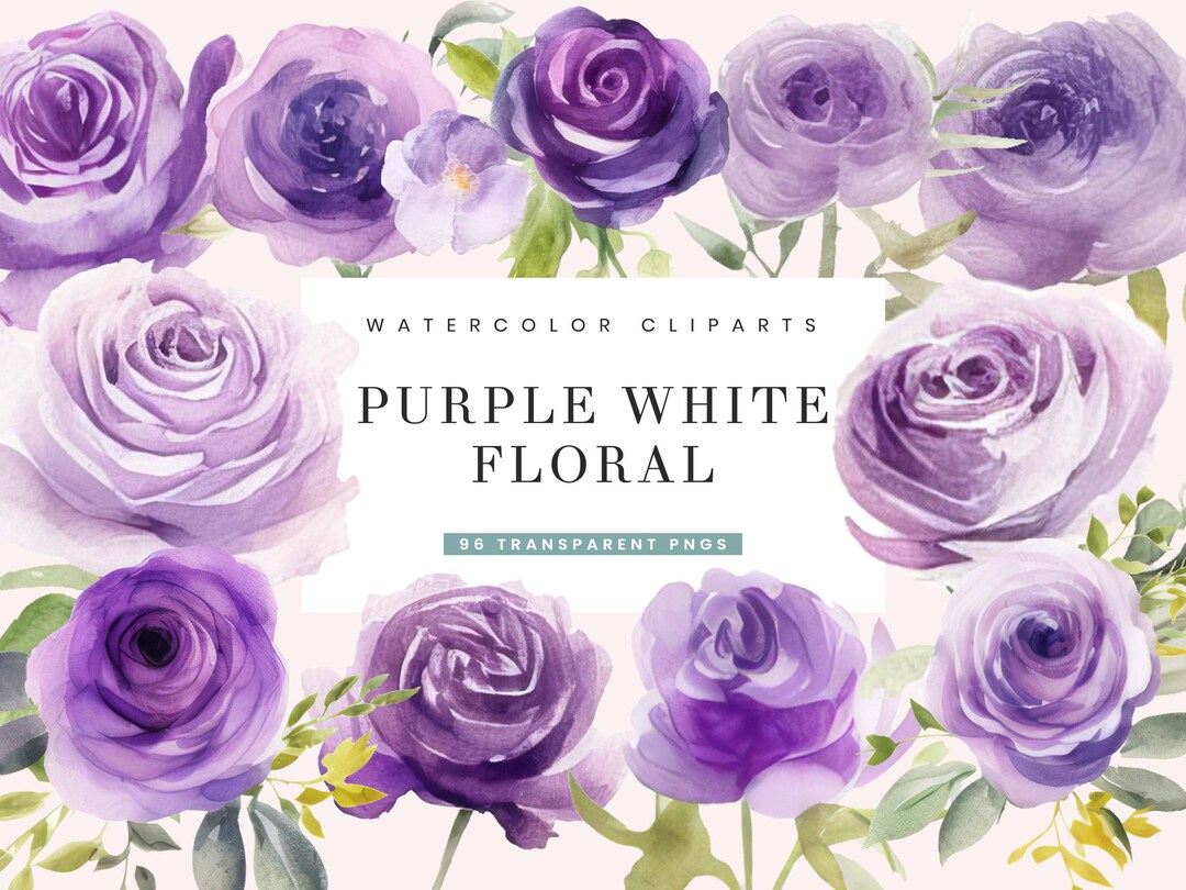 Watercolor Purple White Flowers Clipart Bundle: 96 PNG Designs (digital ...