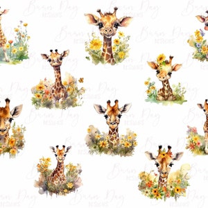 Watercolor Baby Giraffe Clipart Bundle (digital Download) - Etsy