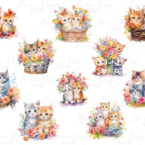 Watercolor Baby Cats Clipart Bundle (digital Download) - Etsy