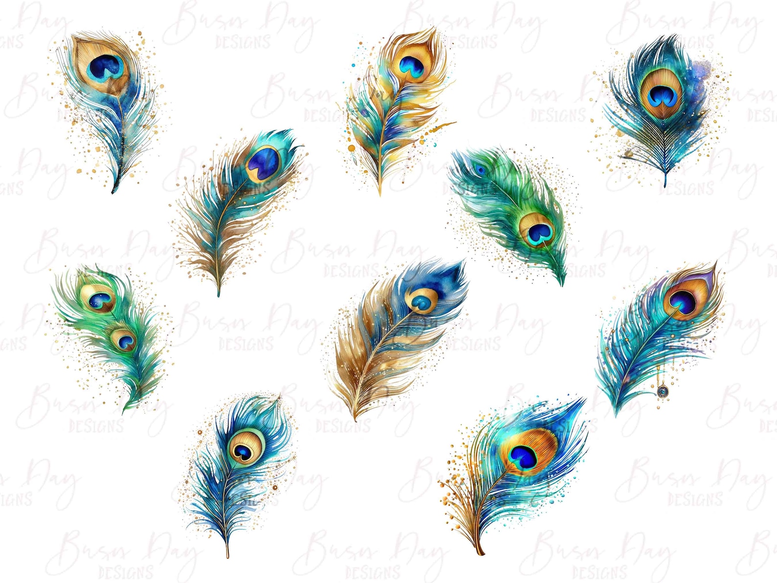 Watercolor Peacock Feather Clipart Bundle (digital Download) - Etsy