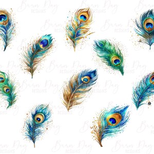 Watercolor Peacock Feather Clipart Bundle (digital Download) - Etsy