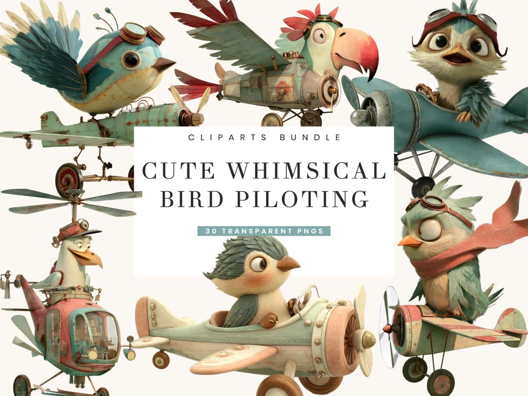 30 Cute Whimsical Bird Piloting Clipart Bundle, Bird Clip Art PNG Files ...