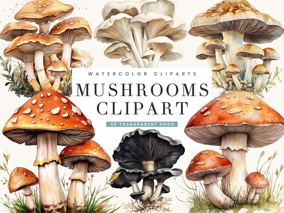 Watercolor Mushrooms Clipart: 30 PNG Sublimation Designs (digital ...