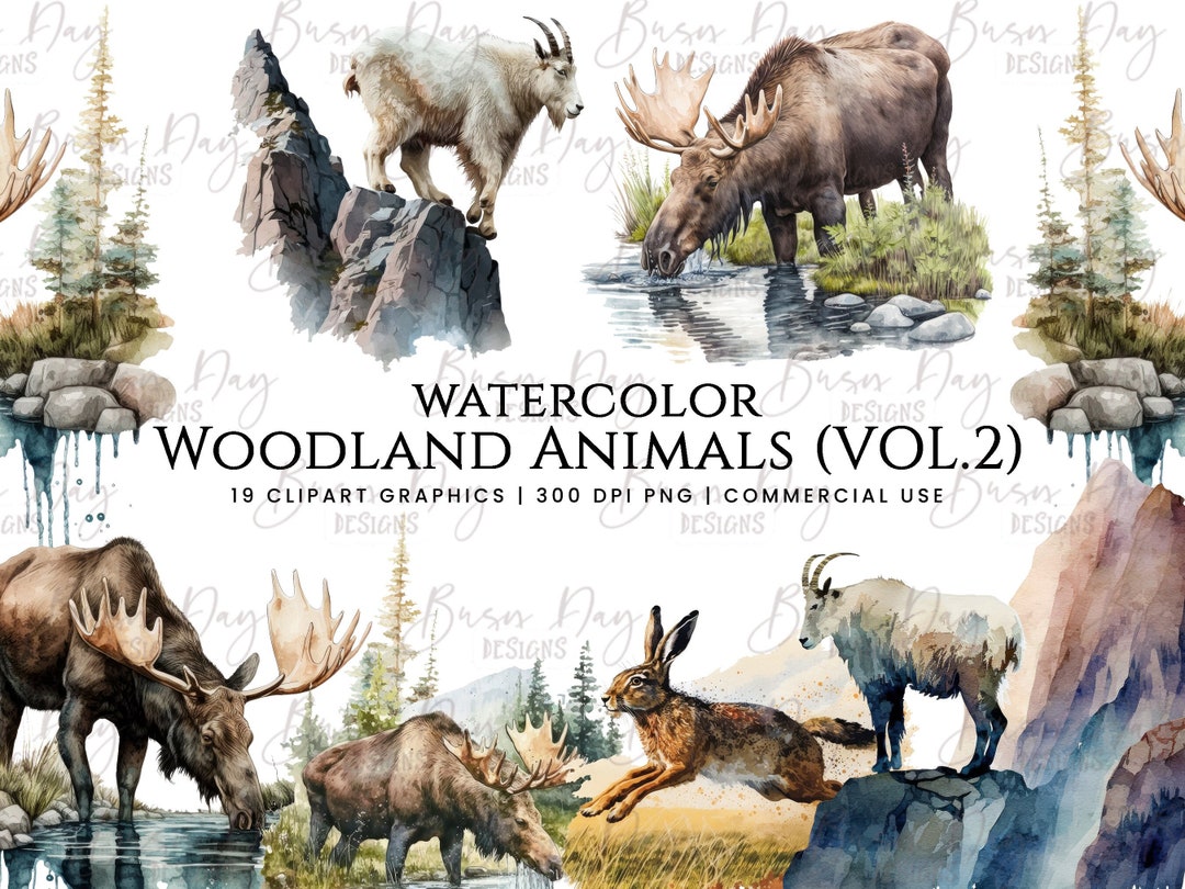 Watercolor Woodland Animal Clipart: Vol 2, Digital Prints (digital ...
