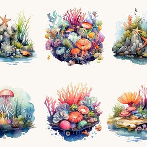 Watercolor Tidepool Clipart Bundle: Seascape Sublimation Designs ...