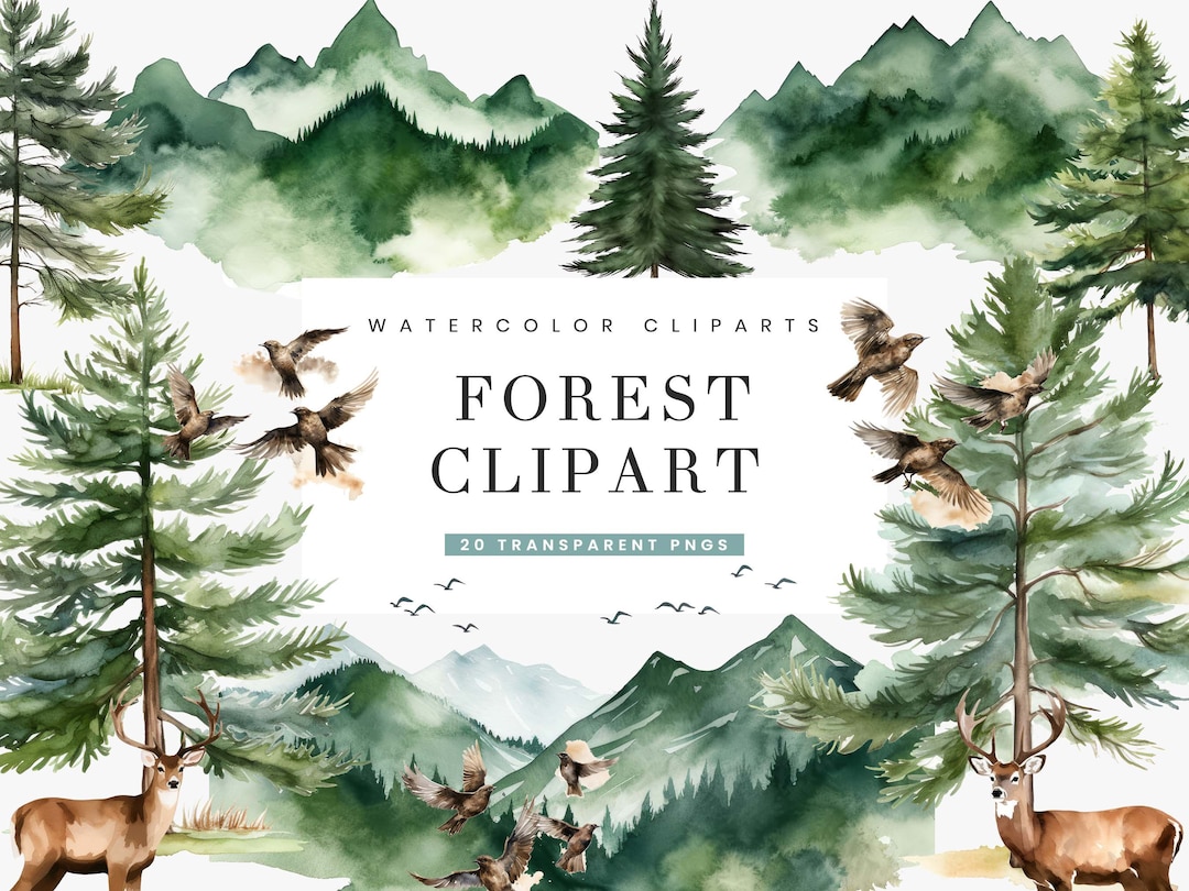 20 Watercolor Forest Clipart Bundle Digital Download Sublimation ...