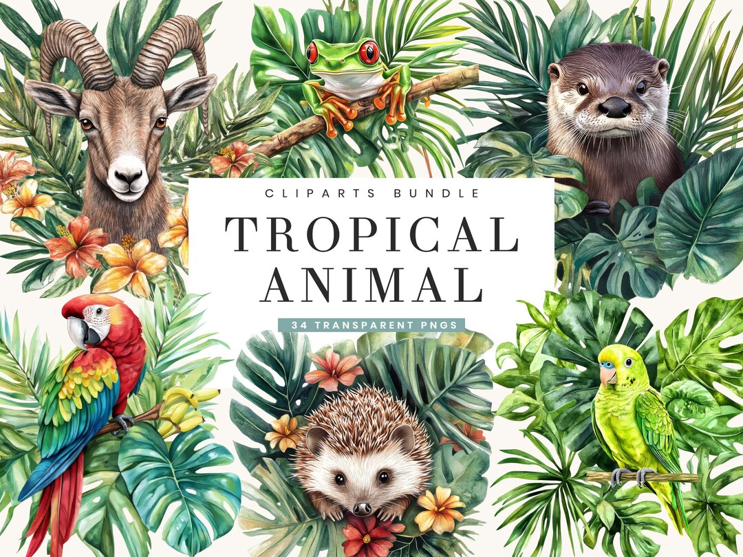 Tropical Animal Clipart Bundle: Watercolor PNG Designs (digital ...