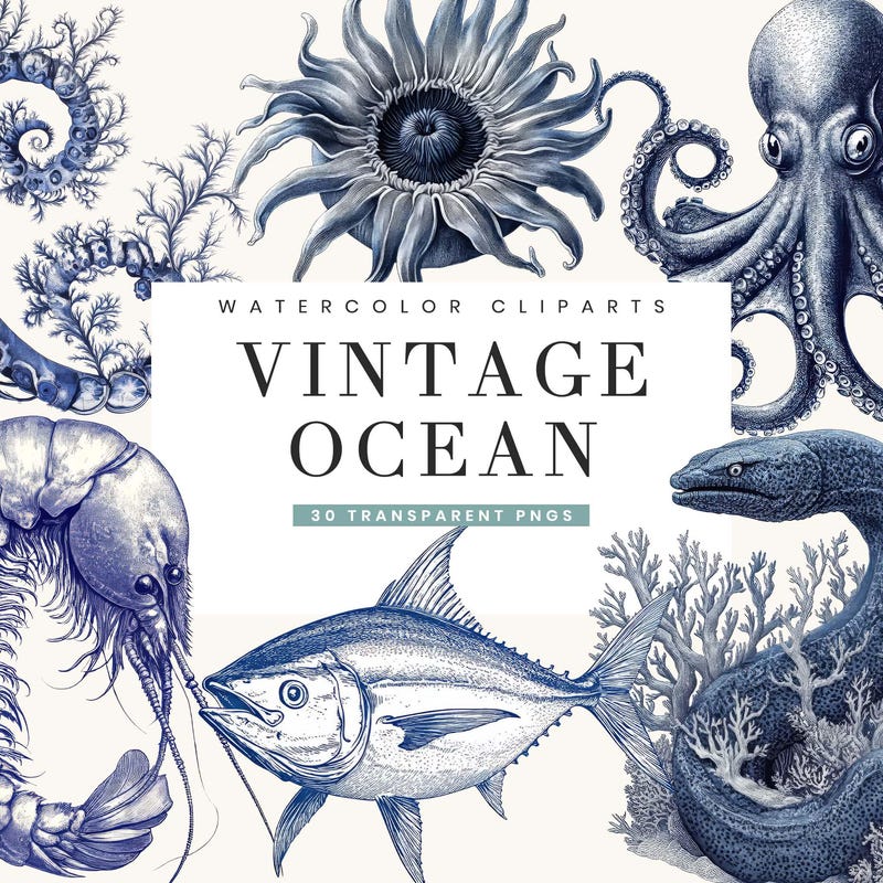 Vintage Ocean Bundle - Etsy UK