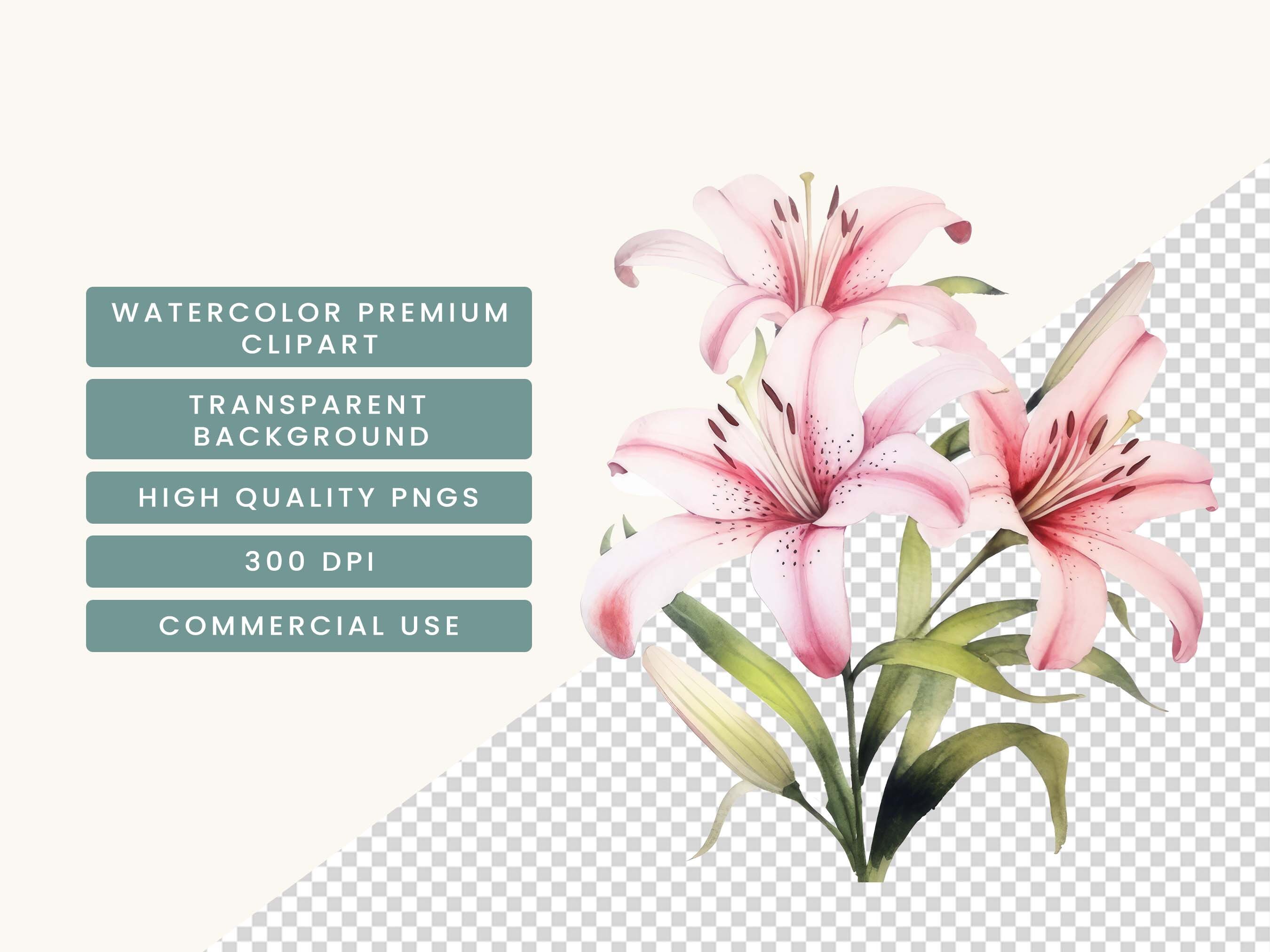 Watercolor Pink Lily Clipart Bundle: Sublimation Designs (digital ...
