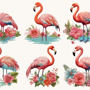 16 Watercolor Embroidery Flamingo Clipart Bundle Sublimation Designs ...