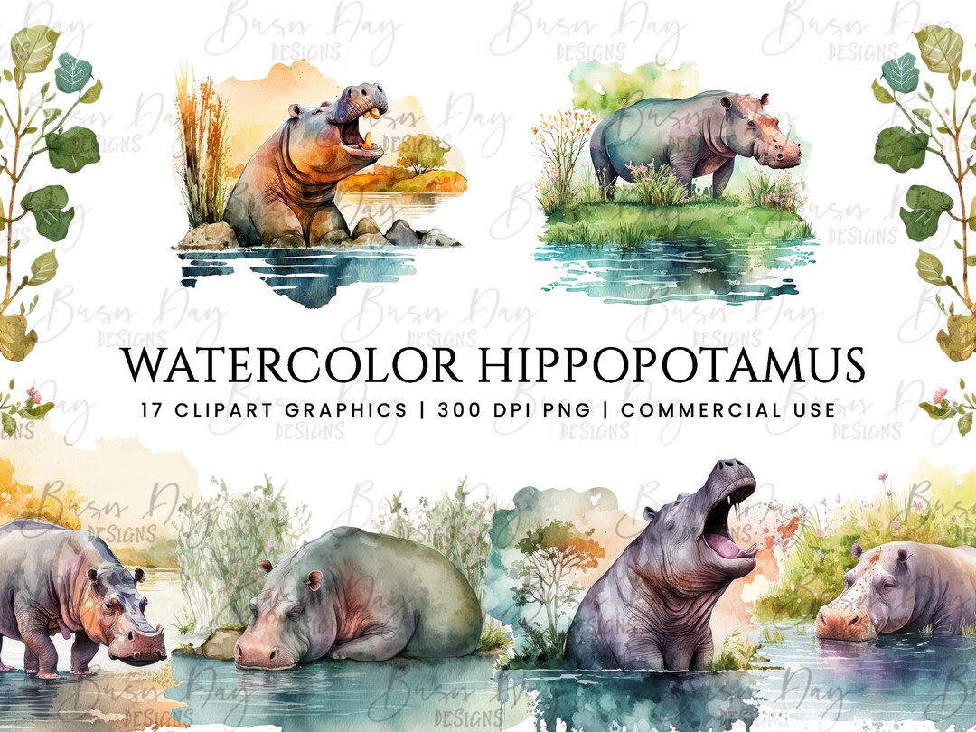 Watercolor Hippopotamus Clipart, Clipart Bundle, Commercial Use ...