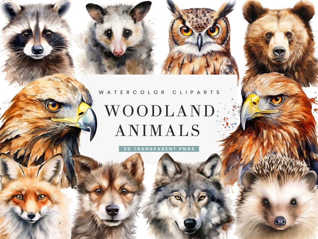 Watercolor Woodland Animal Portraits: Clipart PNG Bundle (digital ...