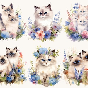 29 Watercolor Ragdoll Cats Clipart Bundle Sublimation Designs, Instant ...