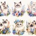 29 Watercolor Ragdoll Cats Clipart Bundle Sublimation Designs, Instant ...