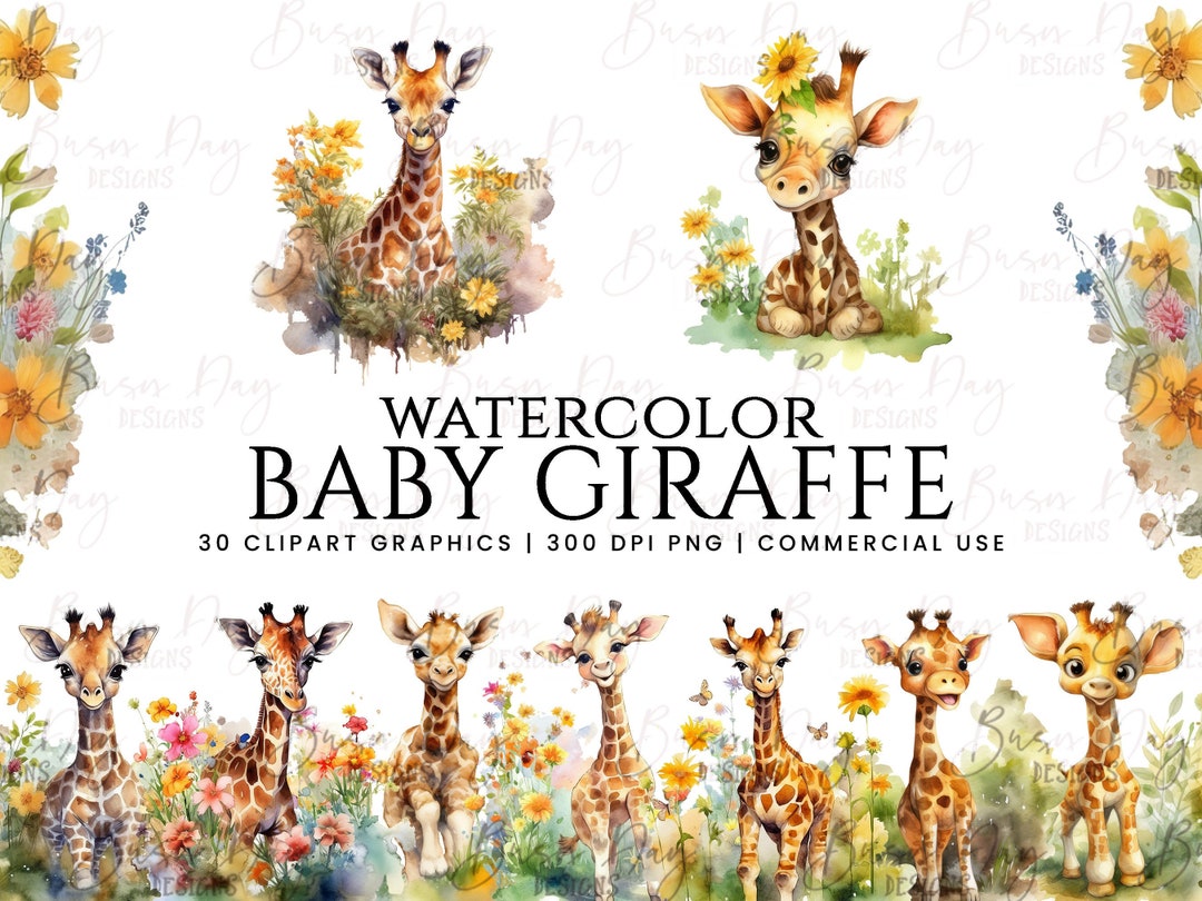 Watercolor Baby Giraffe Clipart Bundle, Watercolor Clipart, Digital ...