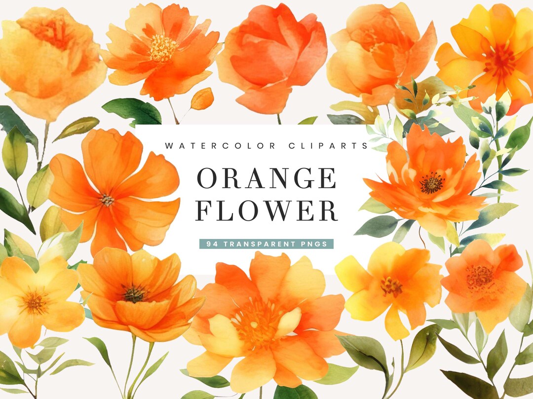 Watercolor Orange Flowers Clipart Bundle (94 Pngs) Digital Download - Etsy