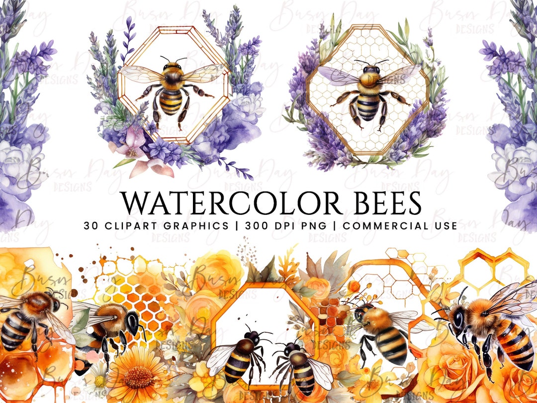 Watercolor Bees Clipart Bundle: 30 PNG Designs (digital Download) - Etsy