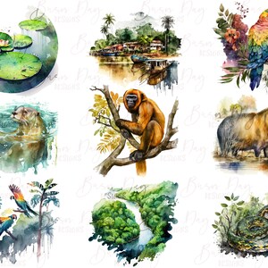 Watercolor Amazon Rainforest Clipart Bundle (digital Download) - Etsy