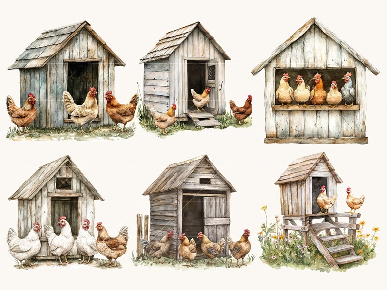 Watercolor Chicken Farm Clipart Bundle, PNG Files (digital Download) - Etsy